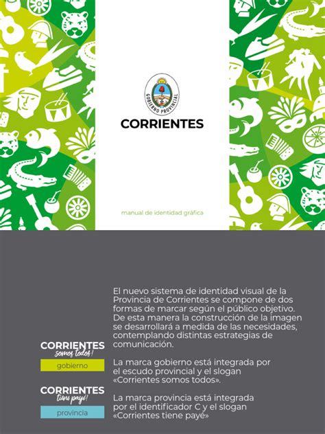 Manual De Marca Gobierno Corrientes Pdf Impresión Diseño Gráfico