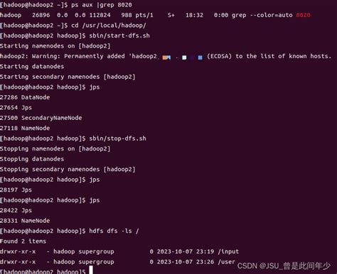 Hadoop使用hdfs指令查看hdfs目录的根目录显示被拒hdfs 命令远程查看 Csdn博客