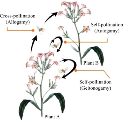 Figure 9 From Fractional Order Pid Controller Design For Dc Motor Speed Control System Via