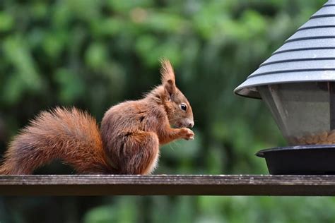 Angular Cheilitis And Ulcerative Colitis