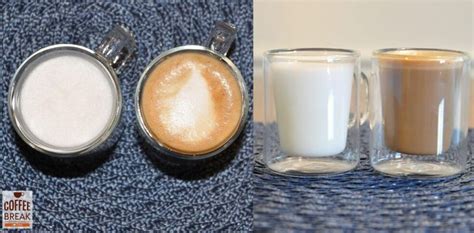 What Milk Froths Best Perfect Picks For Your Coffee Coffee Break Lovers