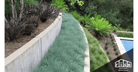 Retaining Wall Options A Complete Guide