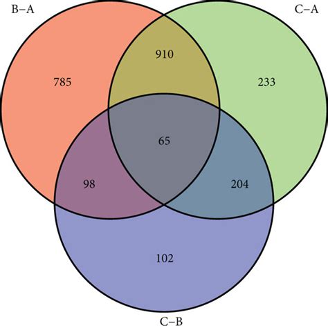 Generation Of Aams Signatures A Venn Diagram Showing Overlapping