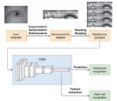 Figure 2 From Deep Iris Feature Extraction Semantic Scholar