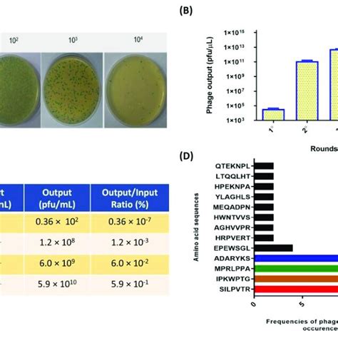 Enrichment Of Positive Phage Clones Specifically Binding To The Download Scientific Diagram