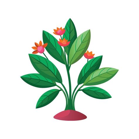 Charming Chirita Floral Illustration 57394831 Vector Art At Vecteezy