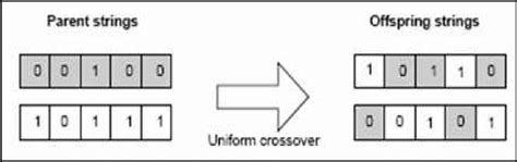 17 Uniform Crossover Download Scientific Diagram
