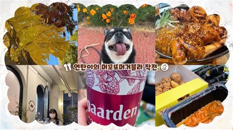 일상 Vlog 다 먹어버리는 머꼬또머거블라수제버거부암동노티드드파운드데이트가을태리로제떡볶이뚝섬생일파티투썸호가든로제먹는 영상저메추맛집 Youtube