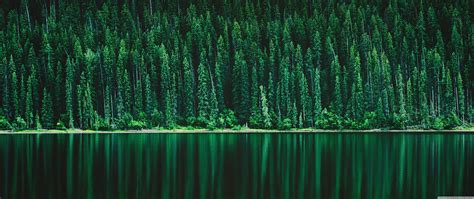 4k Ultrawide Green Wallpapers Wallpaper Cave