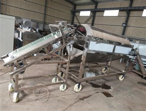 cocoa pod opening machine cocoa pod separating machine cocoa beans