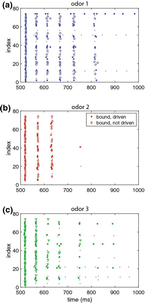 raster plots of the excitatory neurons in a network to which three