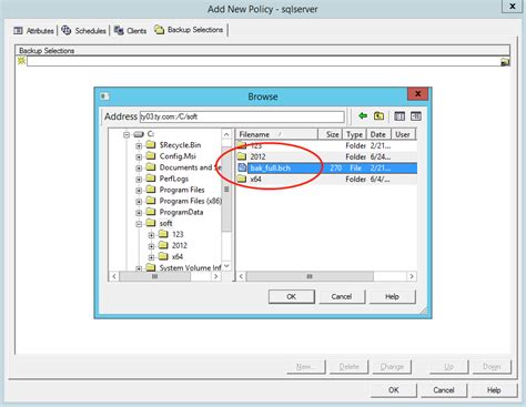 netbackup nbu 之 sql server 备份、还原 墨天轮