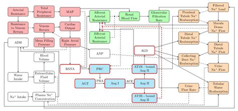 Mathematical Models For Him And For Her Too Siam