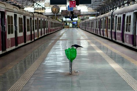 Photo Feature Sl Shanth Kumar Parliamentarian