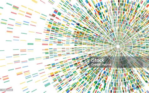 Dna 테스트 인포그래픽 게놈 서열 맵 Dna에 대한 스톡 벡터 아트 및 기타 이미지 Dna 가상현실 건강 검진 Istock