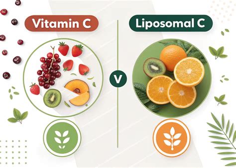 Vitamin C Vs Liposomal C Absorption And Efficacy Guide