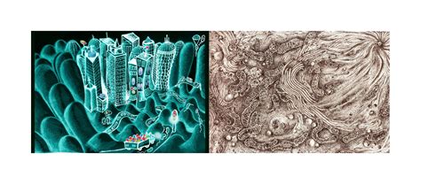 Celebrating 75 Years Of The Mrc Toxicology Unit Mrc Toxicology Unit