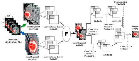architecture 3d cnn for brain segmentation with two pathways download