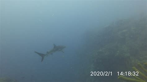 Mark William Stapleton