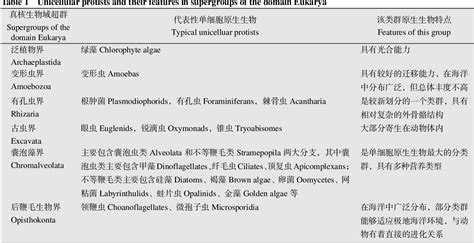 Table 1 From Perspective And Significance Of Unicellular Protists In Ocean Carbon Sink
