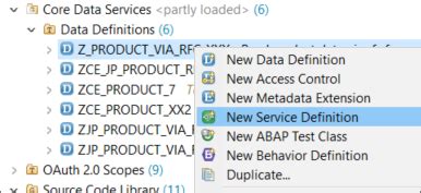 RFC Get Data From An On Premise System Using A Custom Entity SAP Tutorials