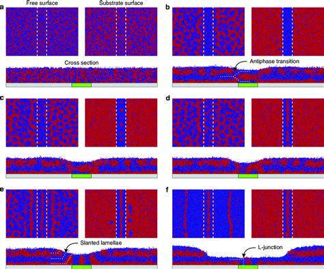Monte Carlo Simulations Simulated Bcp Morphology At The Free Top