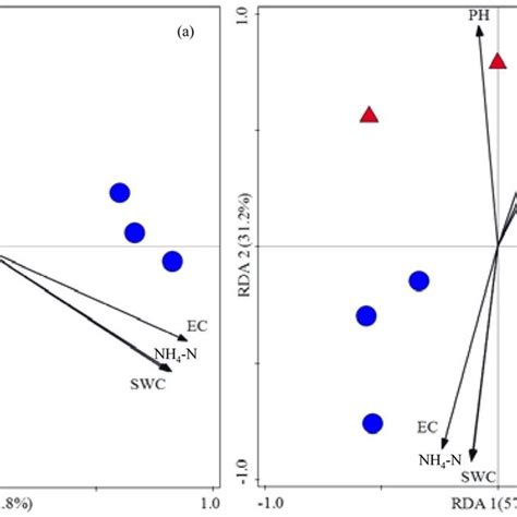 Relative Contributions Of Ammonia Oxidizing Archaea A And
