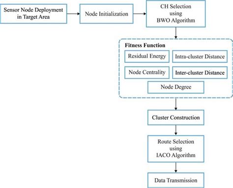 The Workflow Of Bwo Iaco Algorithm Download Scientific Diagram