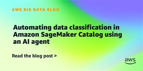 Automating Data Classification In Amazon Sagemaker Catalog Using An Ai