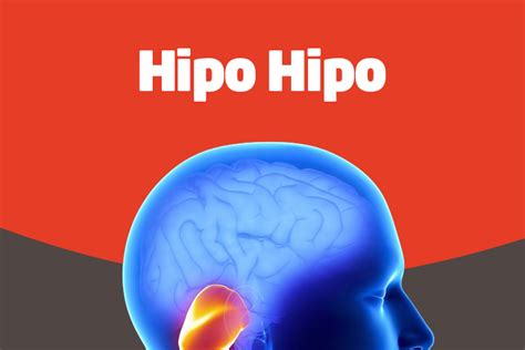 Hipo Hipo Nova Fertil