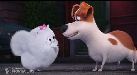 Max X Gidget By Adamhatson On Deviantart