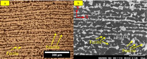E A An OM Image Of The Base Metal And B An SEM Image Of The Base Download Scientific