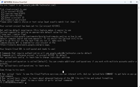 【windows】 Gcloud Cliのインストール方法 ぺんぎんや