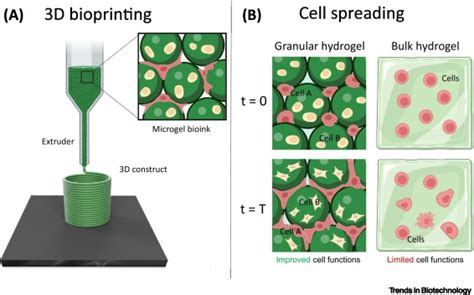 Emerging Granular Hydrogel Bioinks To Improve Biological Function In