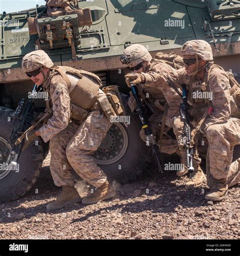 U S Marines With Delta Company 4th Light Armored Reconnaissance