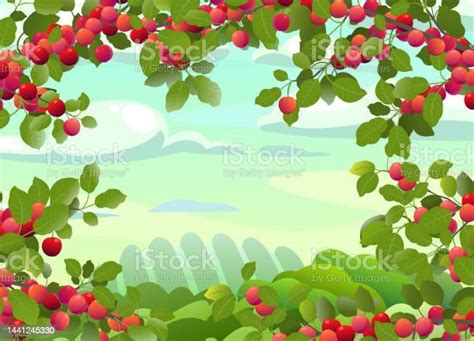 벚꽃 매화 가지가 있는 풍경 시골 정원 언덕과 침대의 전망 여름 안개가 자욱한 아침 식용 작물을 가진 정원 식물 단풍과 나뭇잎이있는 가지 벡터 0명에 대한 스톡 벡터 아트