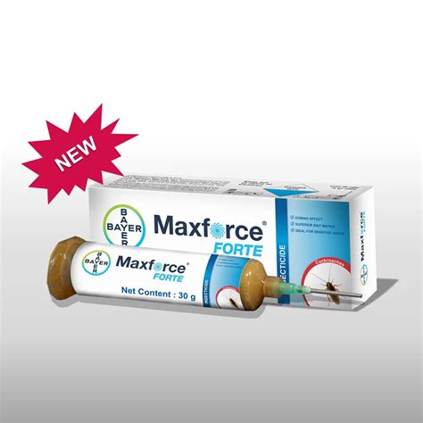 Bayer Maxforce Forte Cockroach Gel At ₹ 550 Cockroach Control Gel In