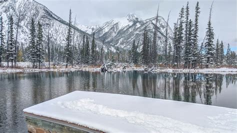 On Top Ca Lorette Ponds