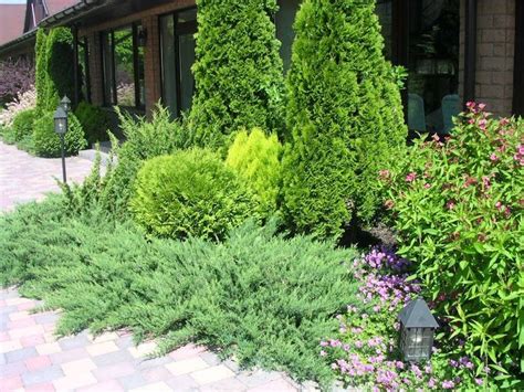 Как спланировать красивый сад у дома чтобы тратить на уход минимум времени и… Garden