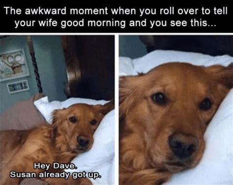 14 Awkward Memes To Brighten Your Day 2022 Update