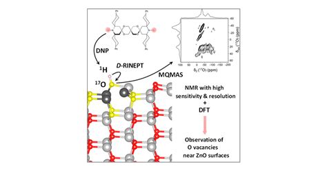 Probing The Surface Of Oxide Nanoparticles Using Dnp Enhanced High