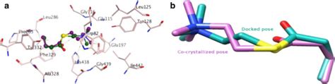 Three Dimensional 3d Conformational Differences Of Co Crystallized Download Scientific