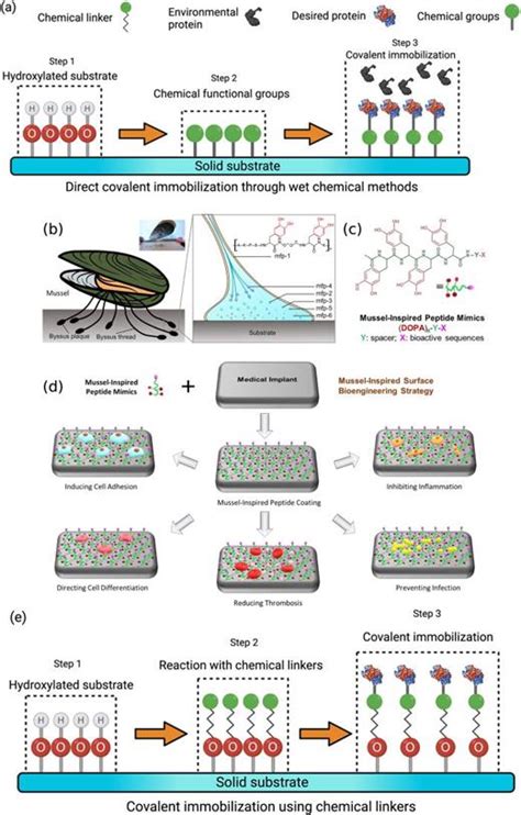 Plasma Surface Functionalization A Comprehensive Review Of Advances In The Quest For