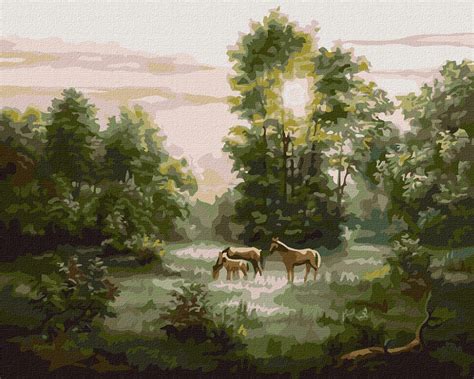 Набір для розпису за номерами картина Світанок 40х50см фото відгуки характеристики в