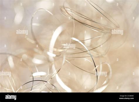 Angel hair effect hi-res stock photography and images - Alamy