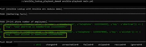 how to integrate external data with the ansible lookup