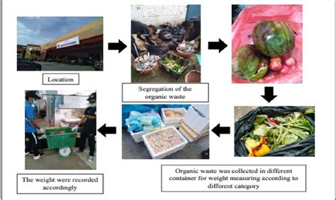 Flowchart Of The Sampling Activity Download Scientific Diagram
