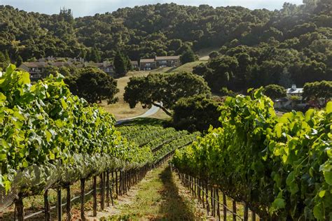 Carmel Valley Ranch Review Chase Travel