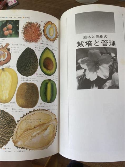 よくわかる樹木大図鑑 葉・花・実・樹皮 メルカリ