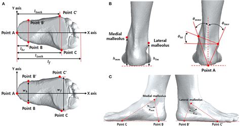 Frontiers Bilateral Ankle Deformities Affects Gait Kinematics In
